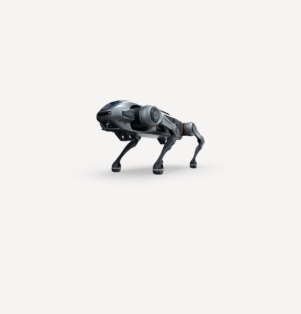 Engineai SE01